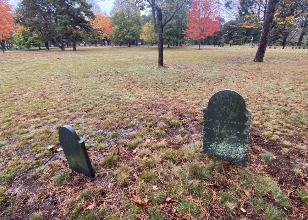 Home - Stewards of the Western Cemetery